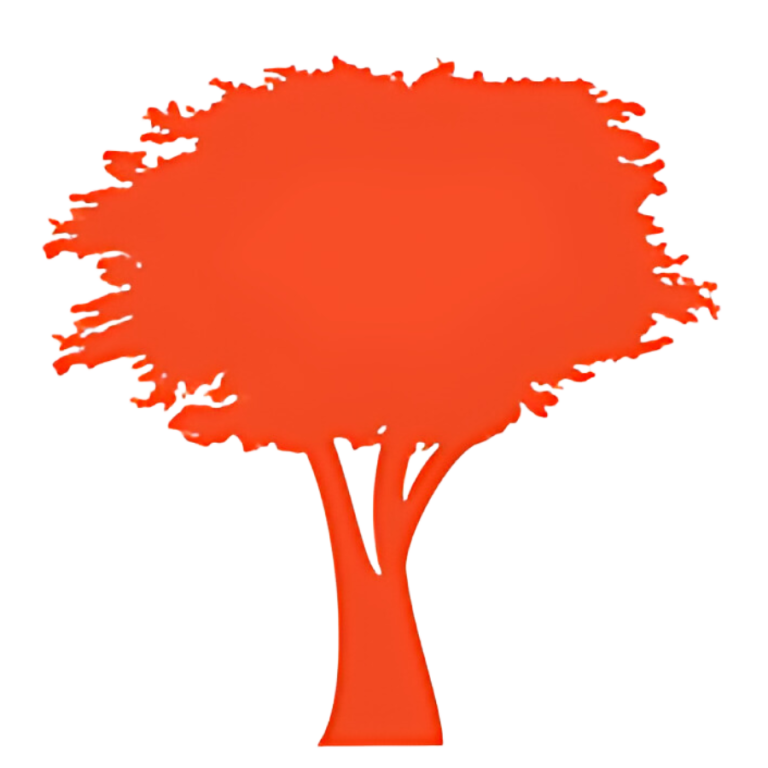 Maif assurance jeune conducteur : Prix et Devis en 2024